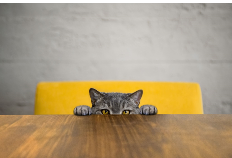 4 Steps to Reduce Risk in a Near All-Time-High Market